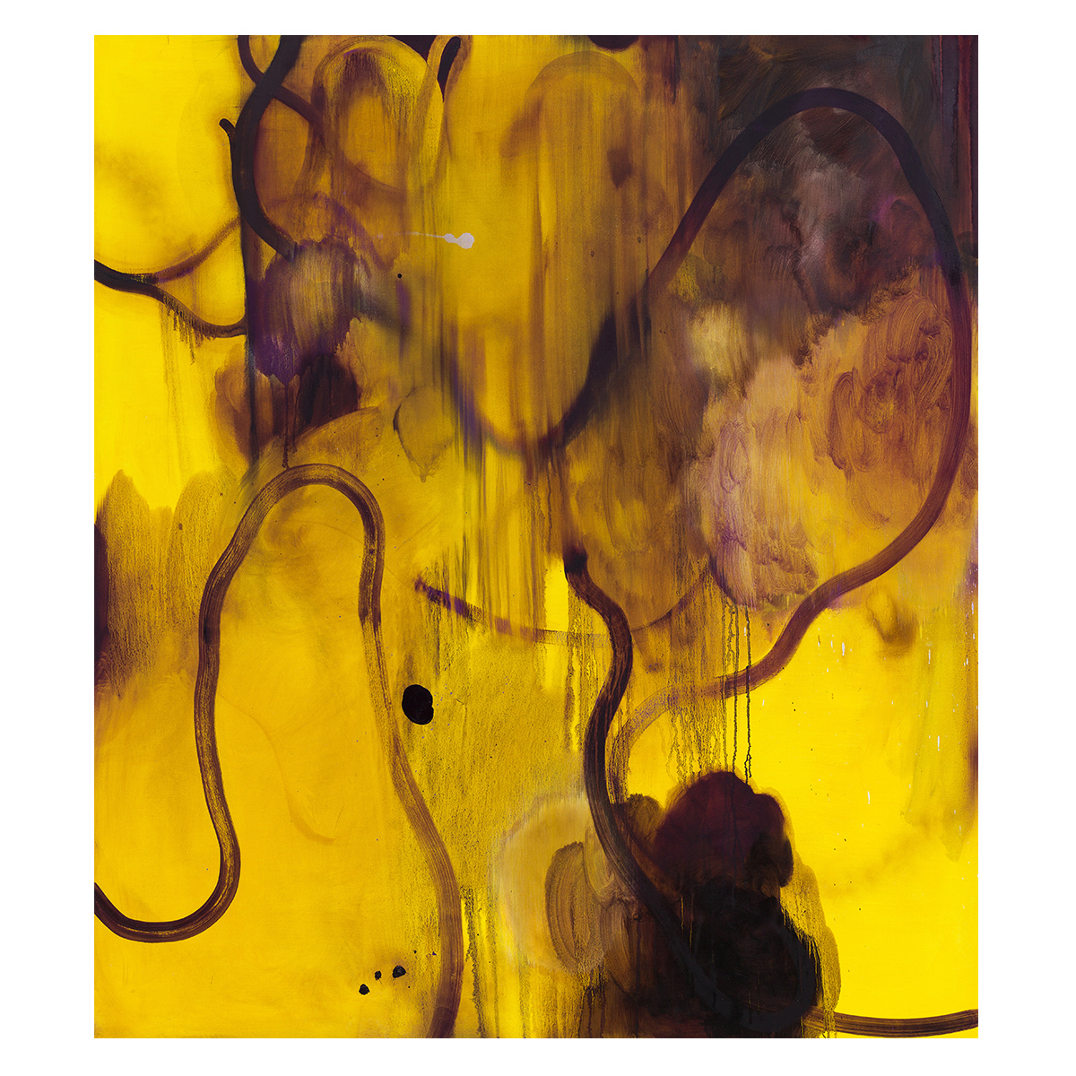 Portfolio - Luc Palmer